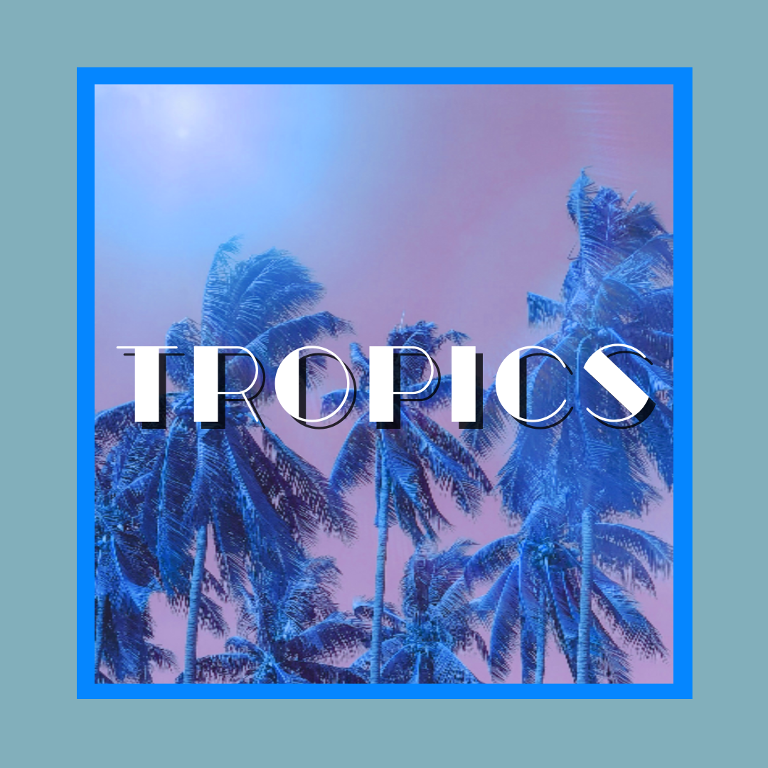 Tropics Pack (FLORIDA) 17 Beats – GetBeatPacks.com